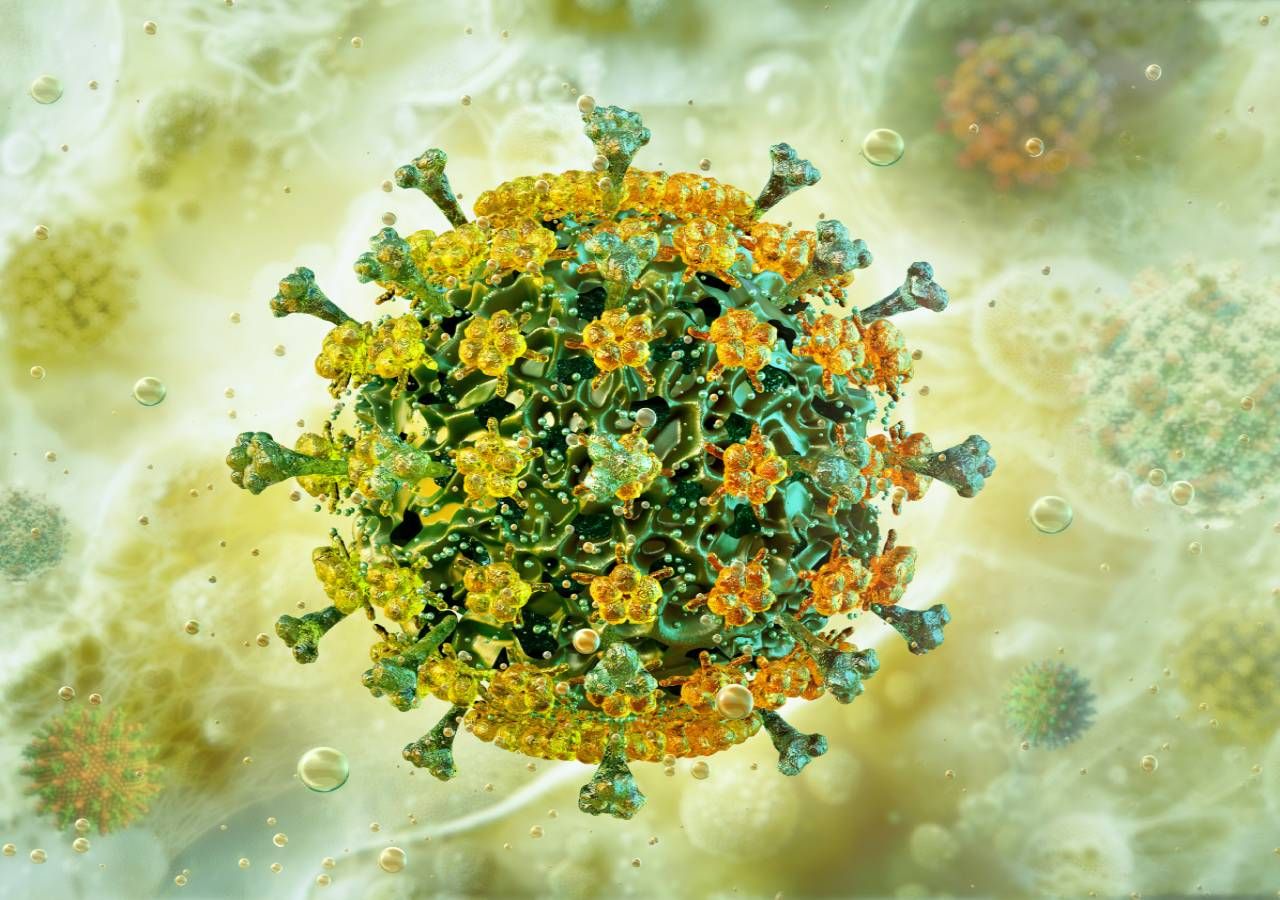 What is the biggest infectious threat to humans in 2025? This is what ...