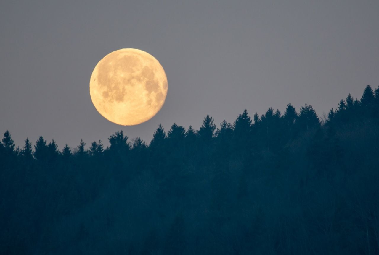Quando sarà la prossima Luna piena nel 2026? Ecco il calendario lunare da gennaio a dicembre