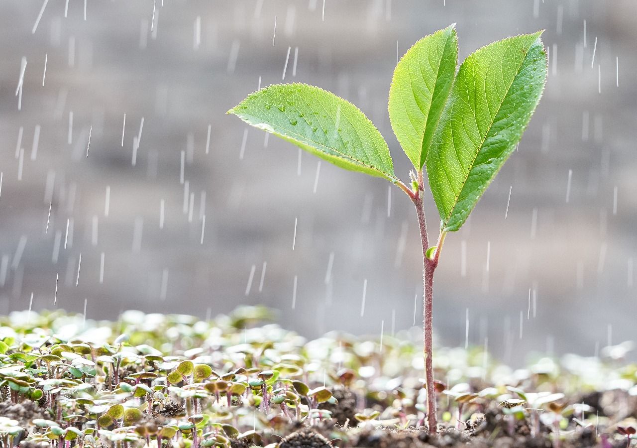 Quando volta a chover em toda a Região Sul?