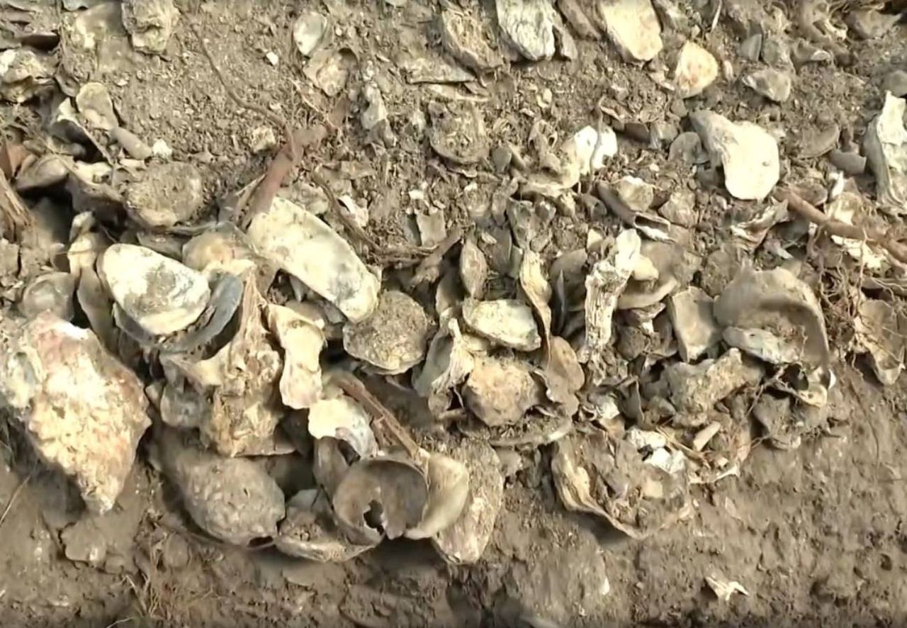 Quase trinta ossadas de pessoas e animais foram encontrados em vila de pescadores na Bahia