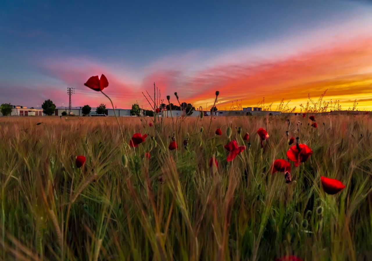 ¿Qué diferencia hay entre el solsticio y el equinoccio?
