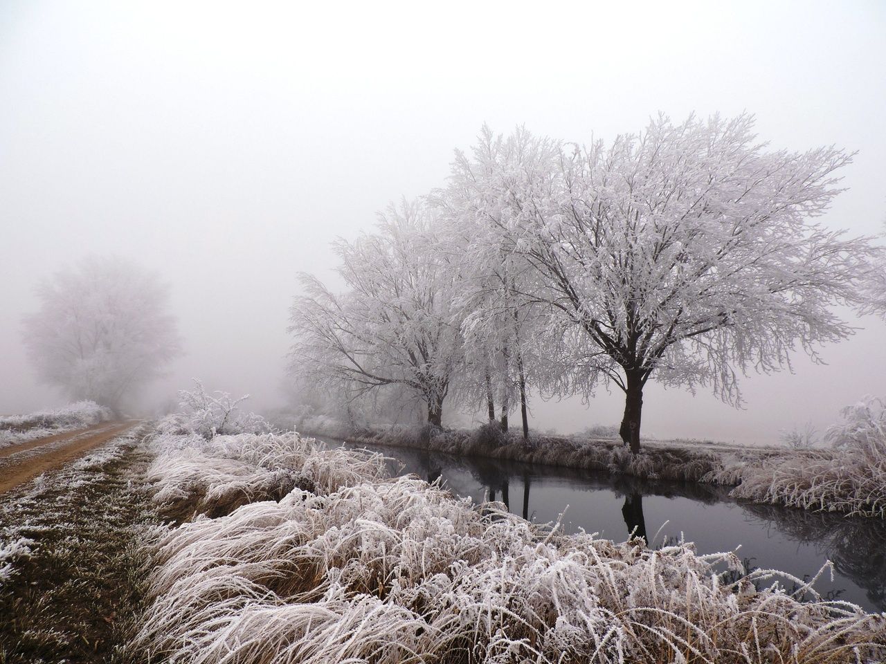 Qué es y cómo se produce la cencellada, la niebla helada que afecta ...