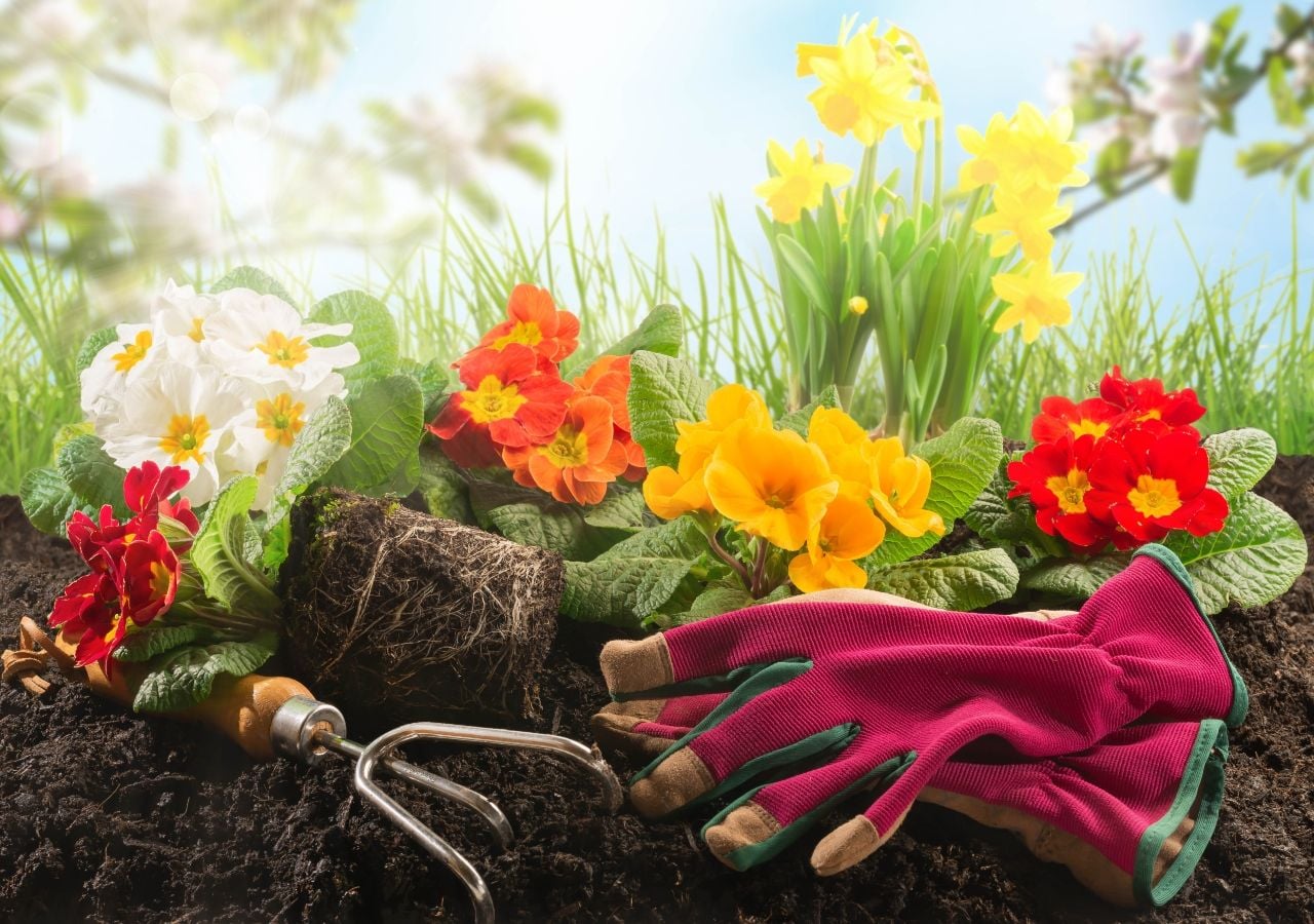 Qué semillas sembrar en otoño para tener flores en la próxima primavera
