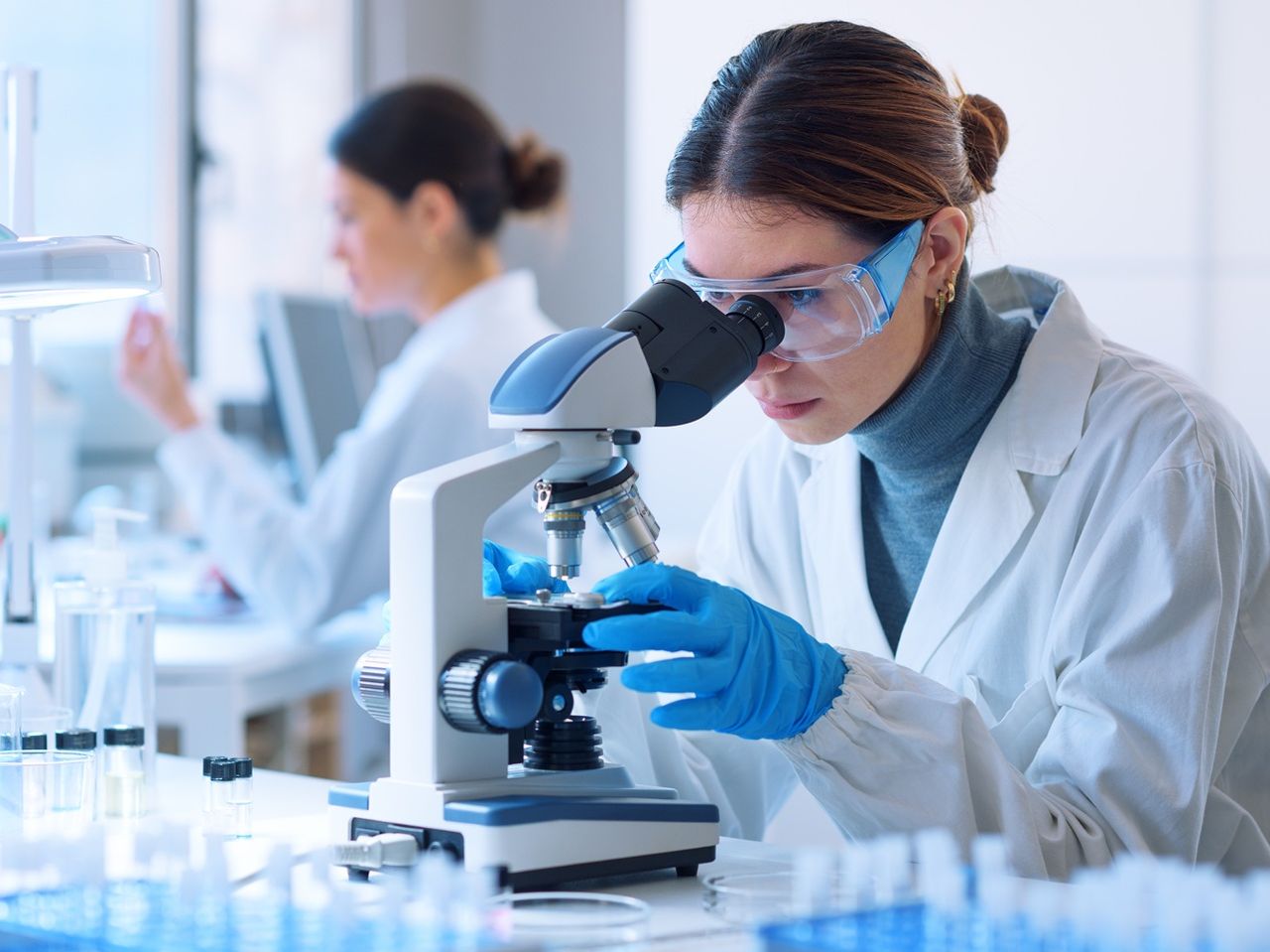 ¿Qué es y para qué sirve la Paleoecología?
