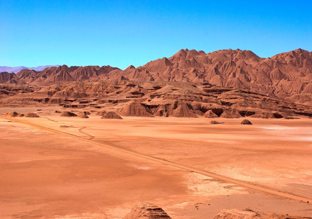 Reciente estudio científico determinó que la Puna se desarrolló en ...