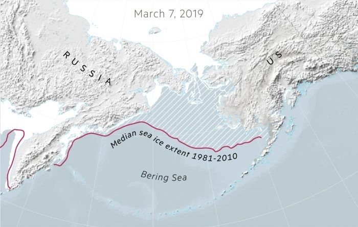 Récord más bajo en la extensión del hielo en el mar de Bering