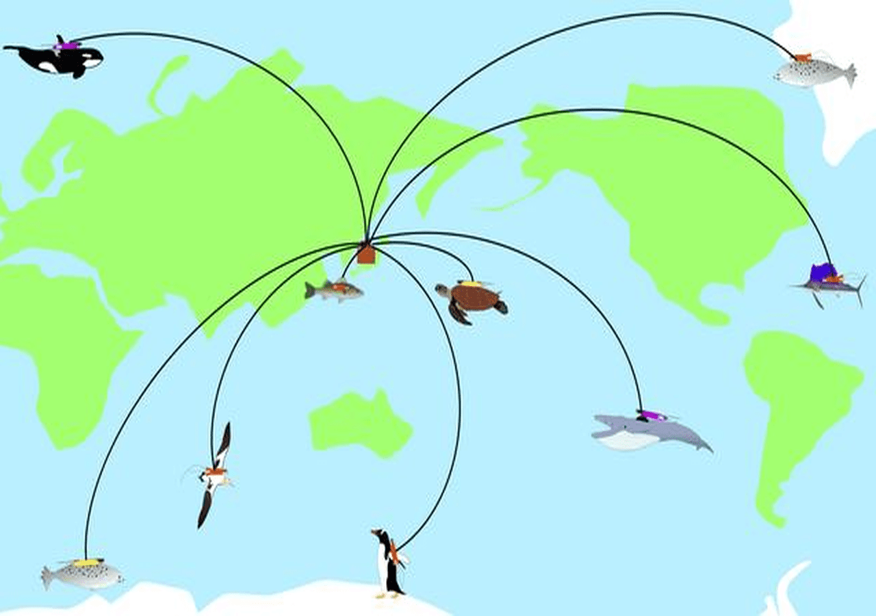 Researchers propose an ‘Internet of Animals’ for monitoring human ...