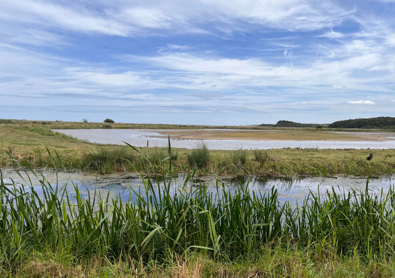 Restoring Europe’s peatlands