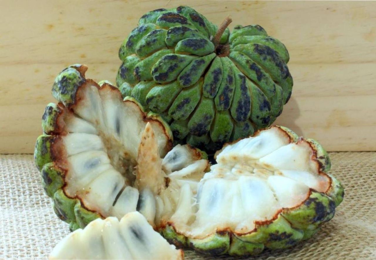 Rich in vitamins, iron and fibre: Discover the benefits of custard ...