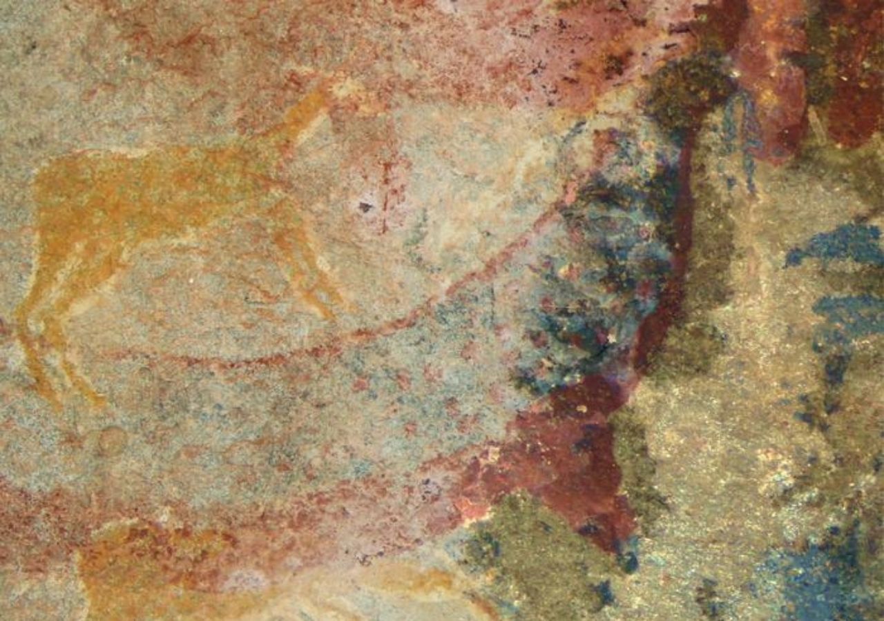 Rock art discovered in South Africa may have been inspired by an ...