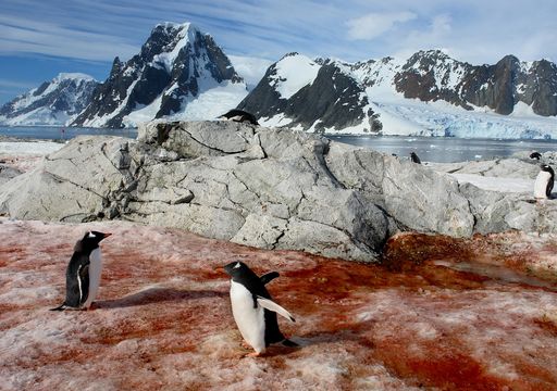 La ciencia del vaho: ¿por qué sale por la boca al exhalar o de las ...