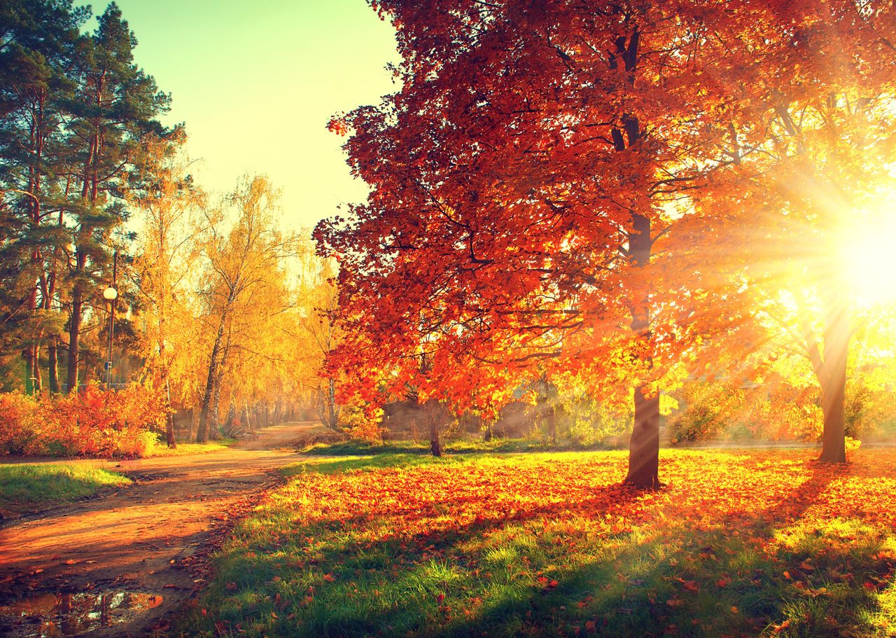 Say Hello to Fall: The Autumn Equinox Brings a New Season—Here’s What’s ...