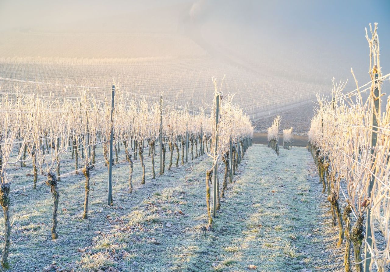 Der November bringt bald Schnee: Wen triift es in Deutschland?