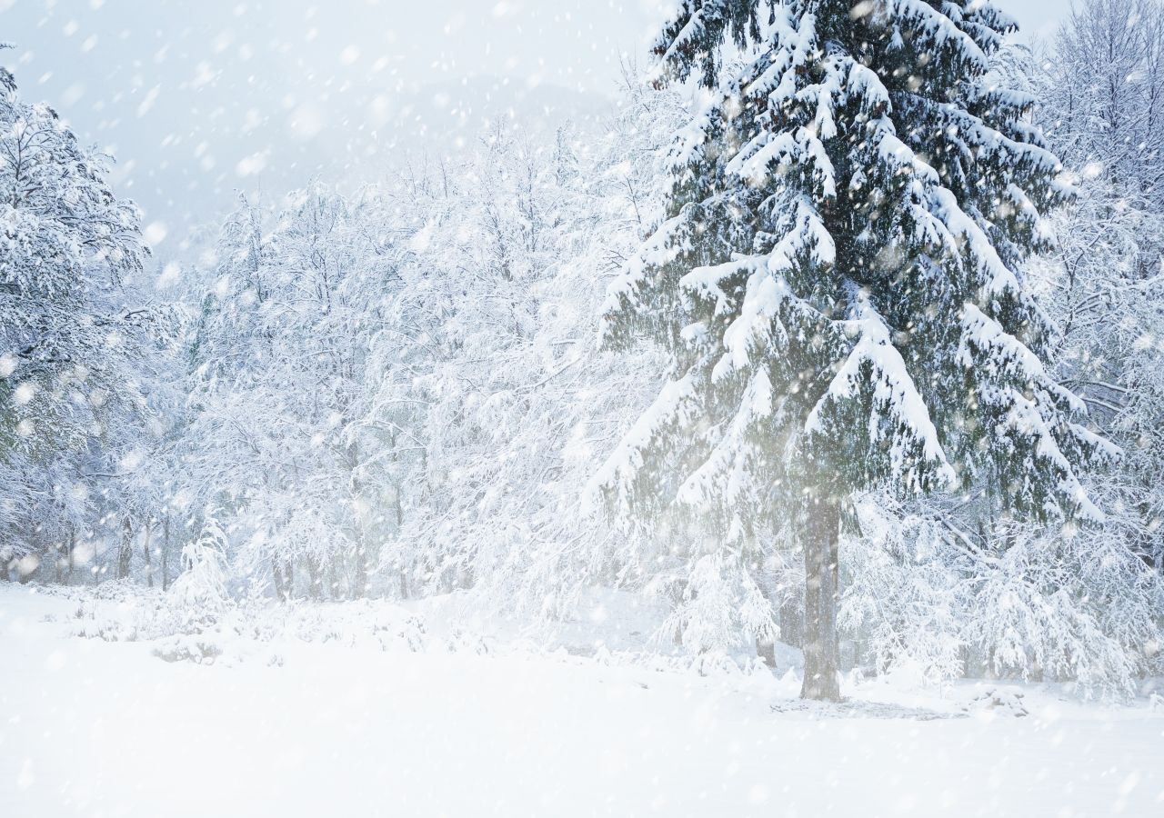 Morgen Schneesturm im Osten, Donnerstag schwere Sturmböen!