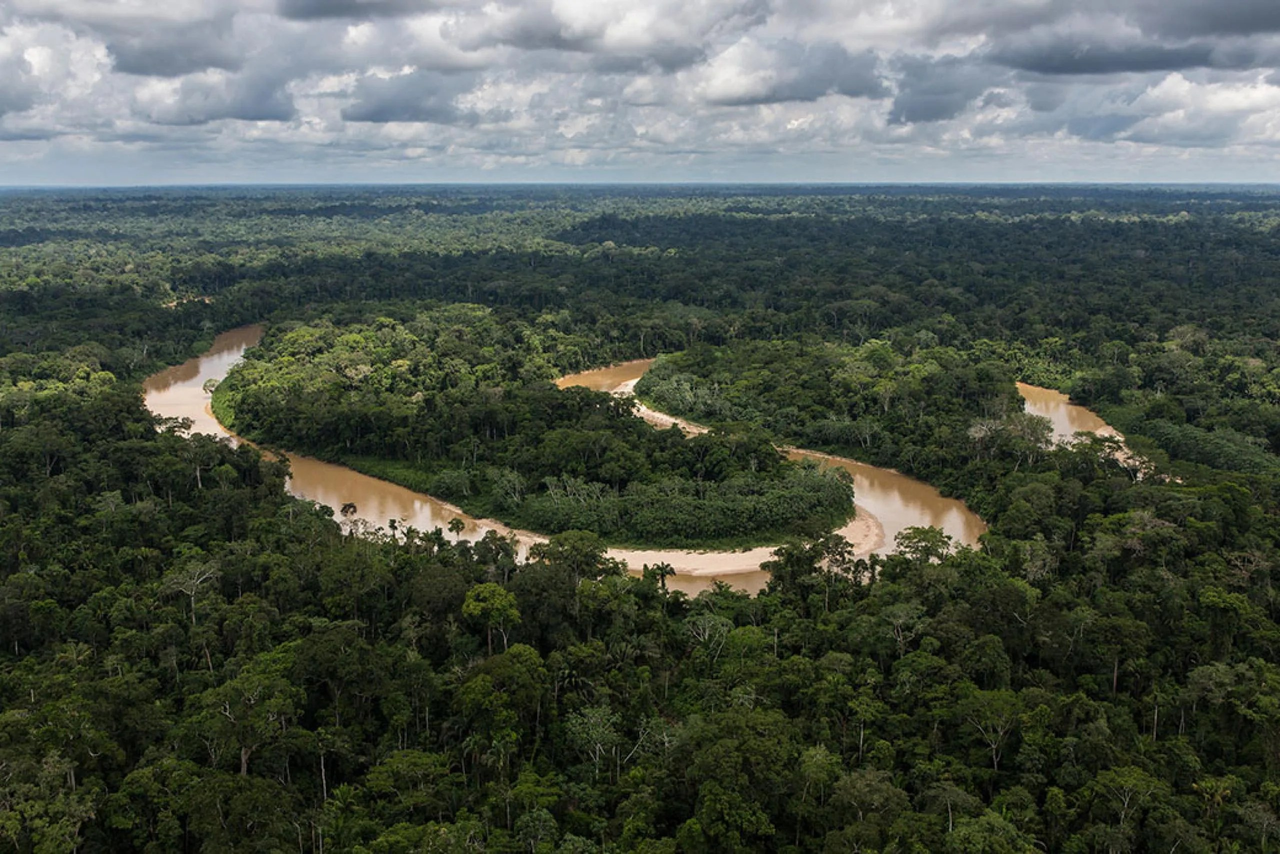 La selva amazónica podría estar debilitando su capacidad para absorber ...