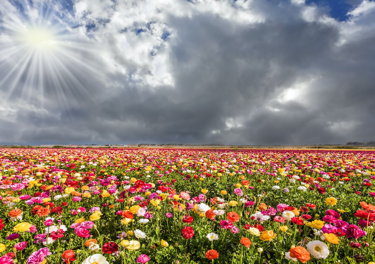 ¡Semana con días de tormenta, calor y frío! típico durante la primavera