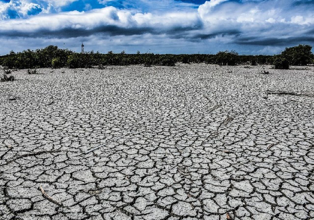 Sequía afecta al norte y noroeste del país