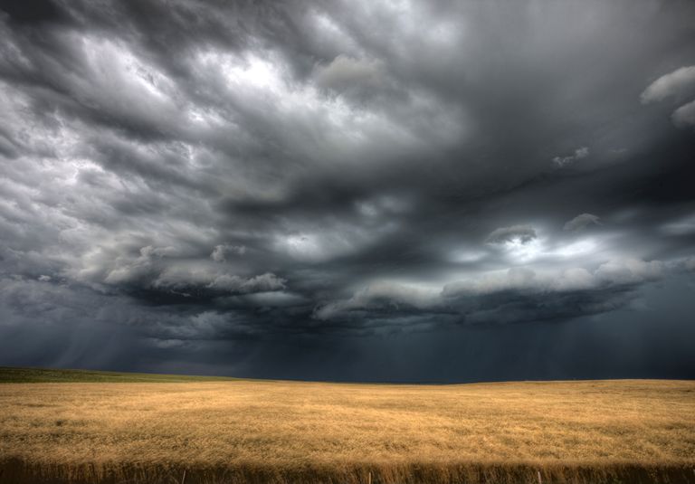 Paterson, NJ Weather 14 days - Meteored