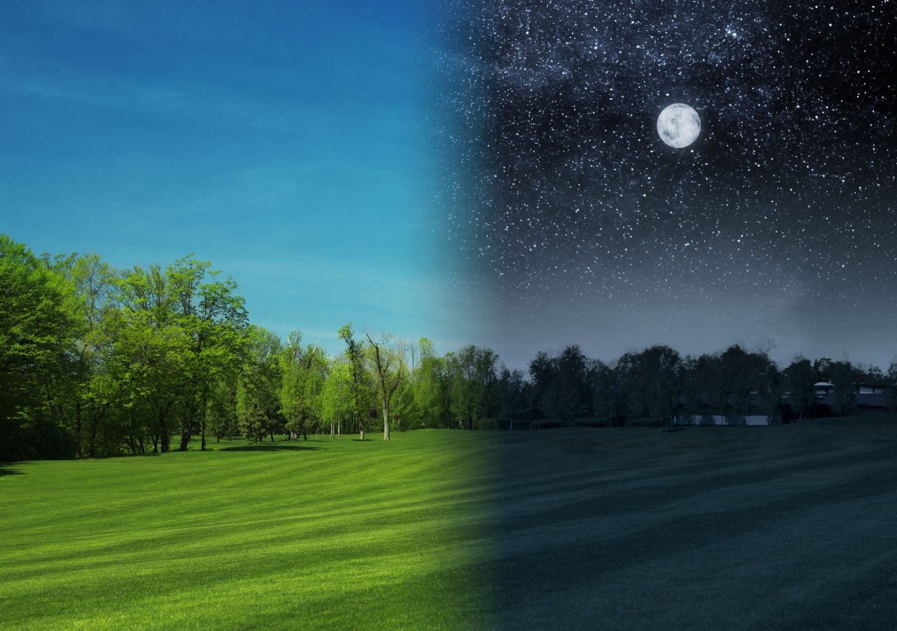 Soluções científicas para a poluição luminosa: como salvar insetos ...