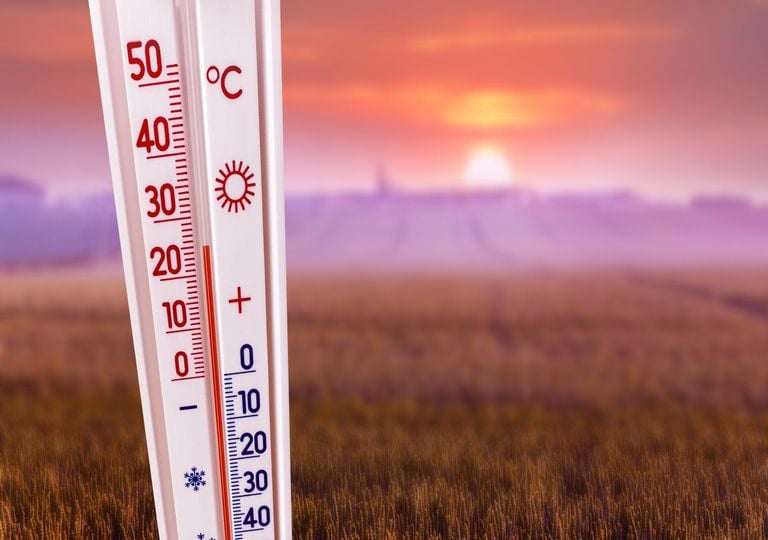 Wetter 14 Tage. Wettervorhersage - daswetter.com | Meteored