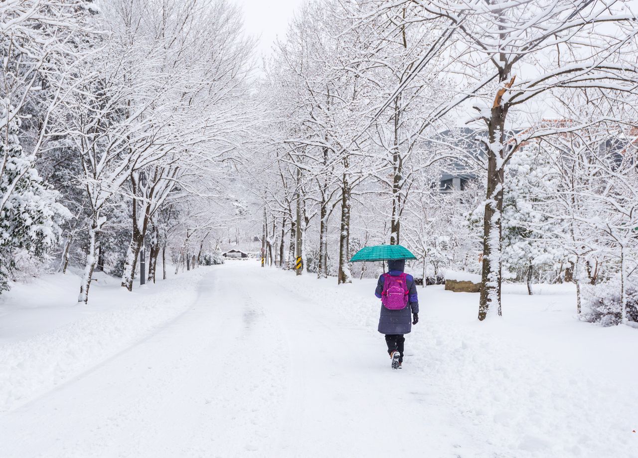 South Korea faces record-breaking November snowfall, sparking warnings