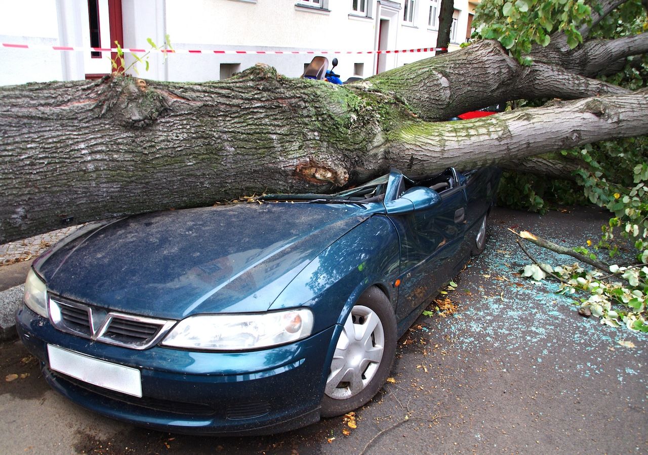 Sturm Darragh: Chaos und Zerstörung – Zwei Tote, Stromausfälle und ...