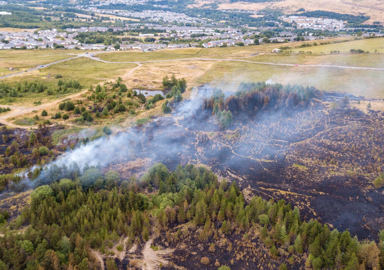 Take your glass litter home to avoid wildfires in the next heatwave ...