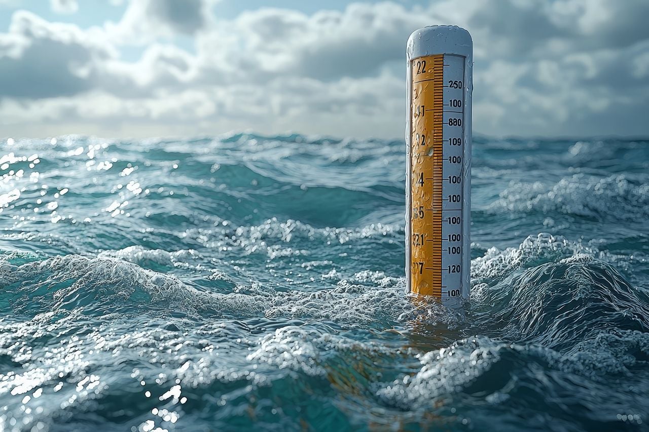 Temperature oceaniche: nel 2024 è stato raggiunto un nuovo record, e ...