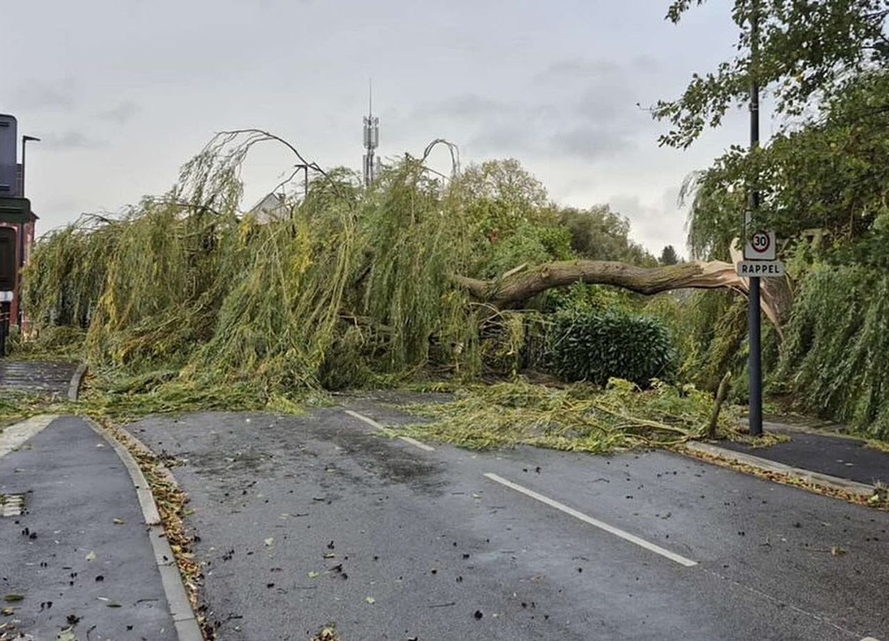 Tempête Benjamin : des vents à plus de 160 km/h provoquent des dégâts ...