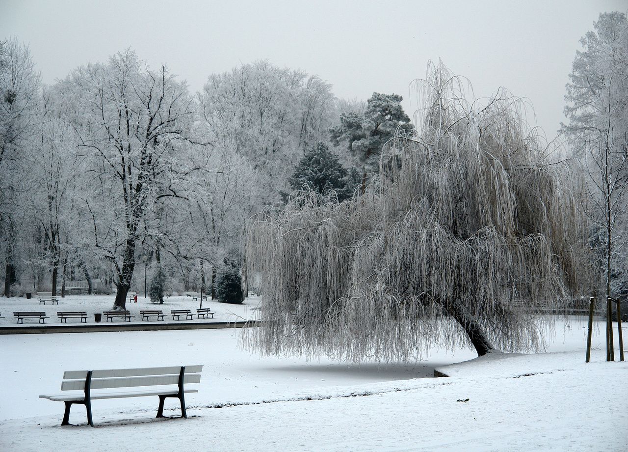 Météo : nouvelles chutes de neige dans l'est en début de semaine