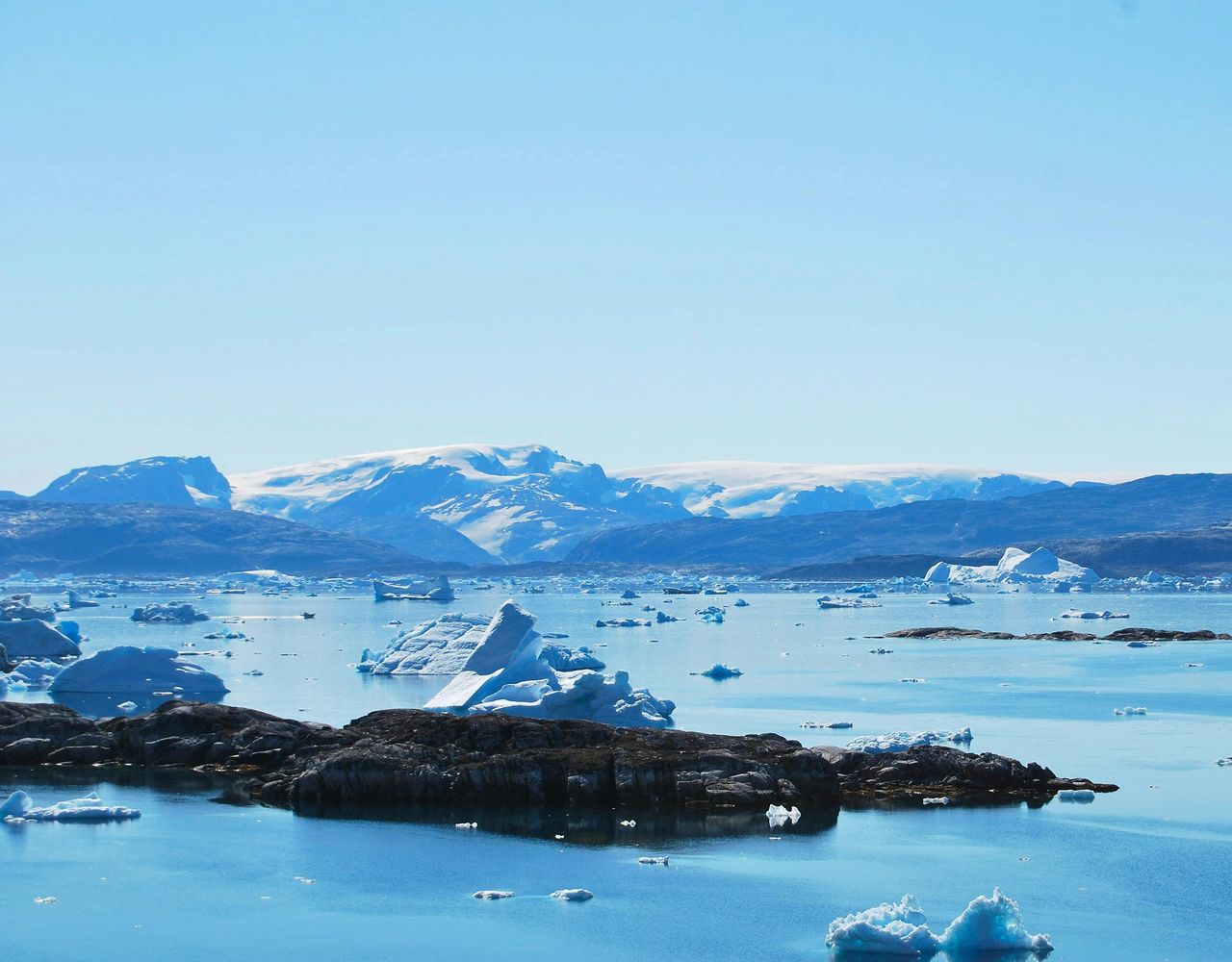 The Arctic is Set to Become Ice-free Within 10 Years as Lack of Global ... The Arctic is Set to Become Ice-free Within 10 Years as Lack of Global ...