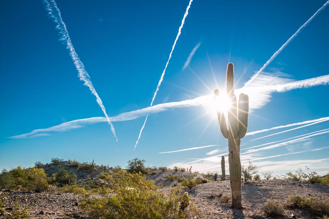 The heat from a searing record-breaking summer in Phoenix ended up ...