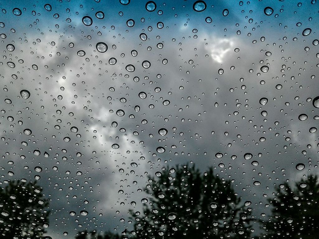 The two-week forecast: what will the rest of May bring?