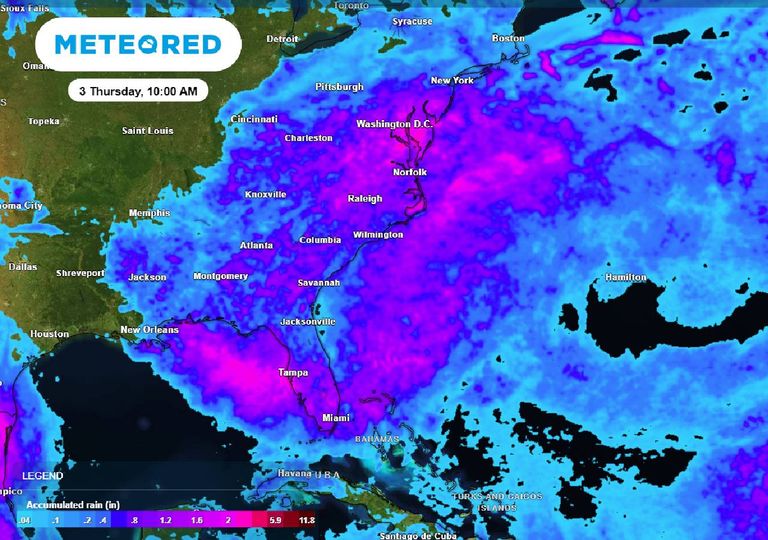 Brandon, FL Weather 14 days - Meteored