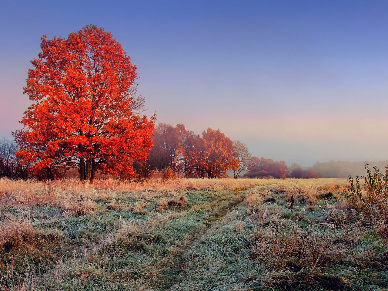 Tiempo pre-invernal. Anticipo del que está por llegar