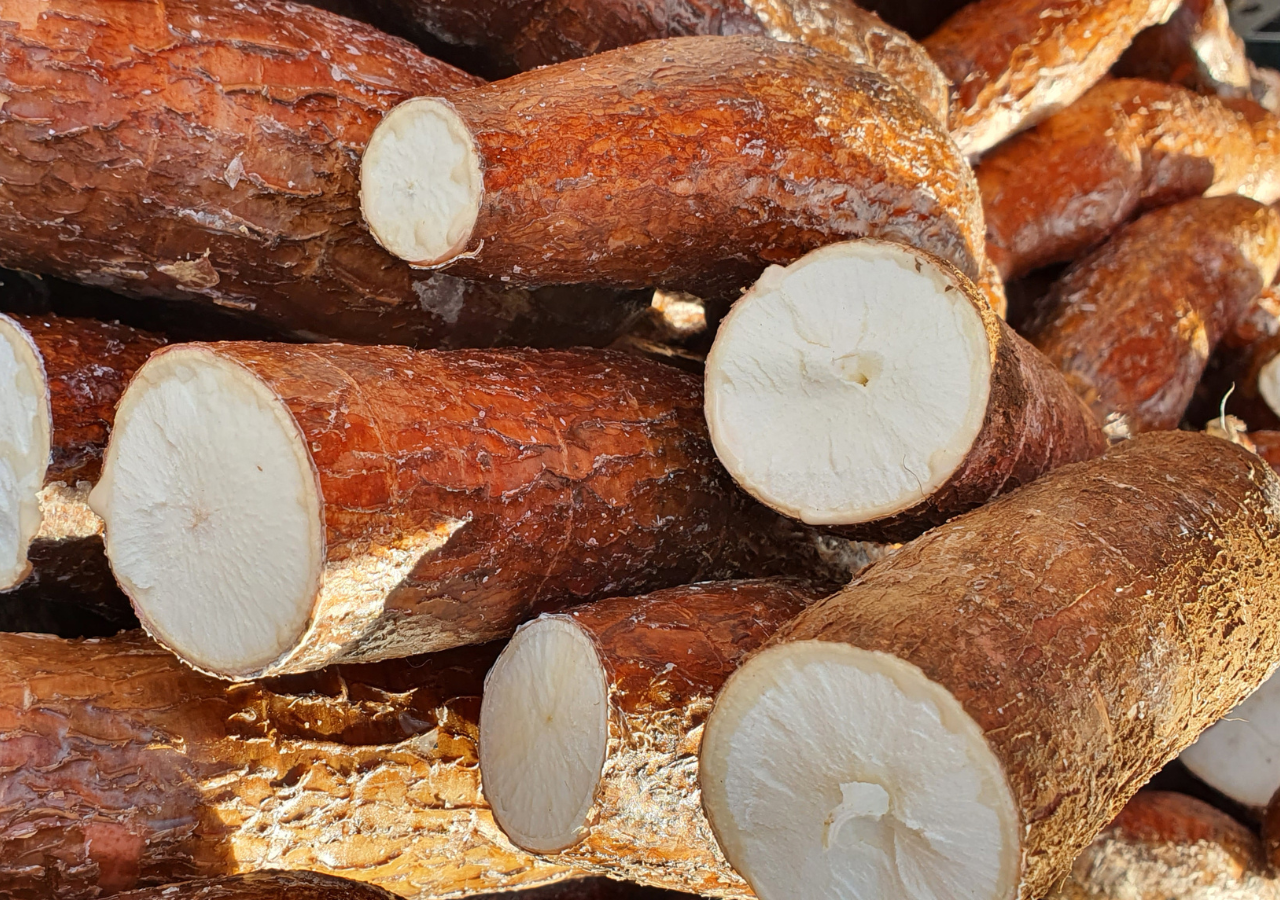 Todo lo que necesitas saber sobre la yuca: beneficios, propiedades y ...