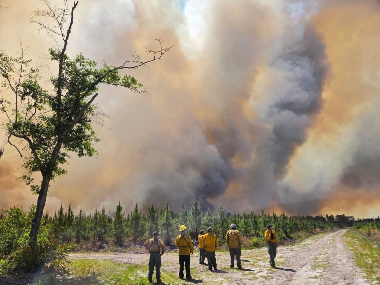 Tornadoes, Rare Ice Event, Wildfires, and Flooding Highlighted April’s ...