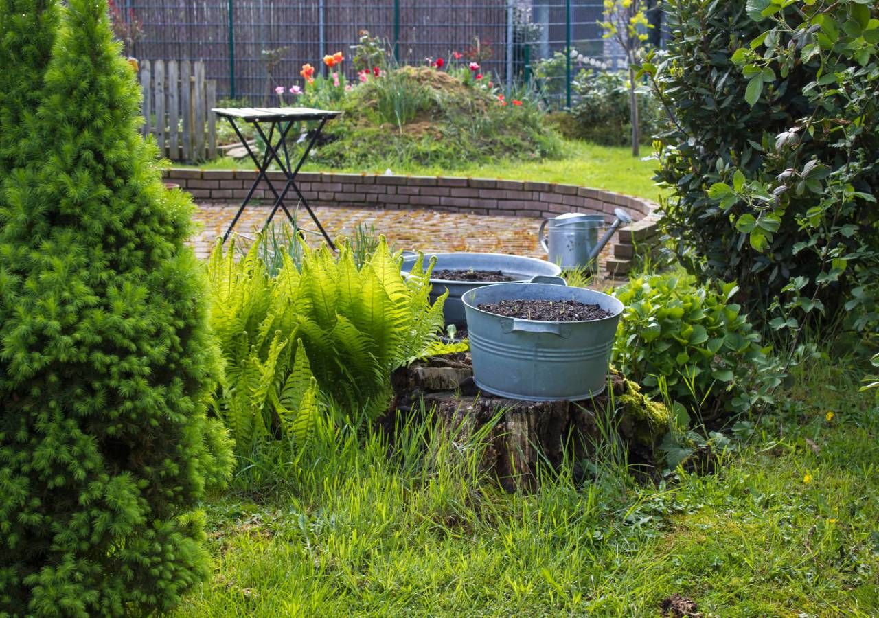 Three Smart And Eco-Friendly Ways To Replace Traditional Pots - See How