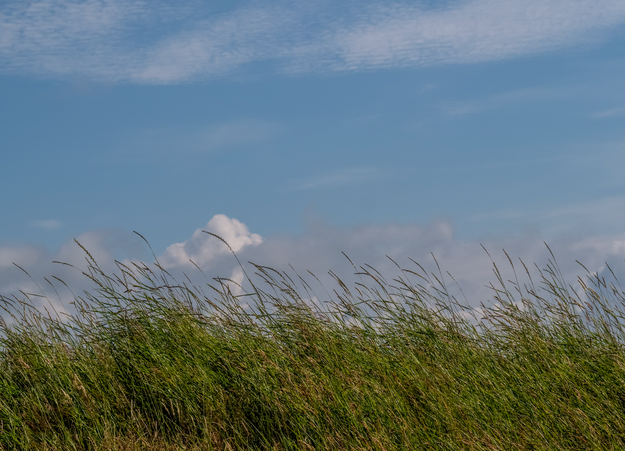 UK weather outlook: Will it be cooling down this week in the UK?