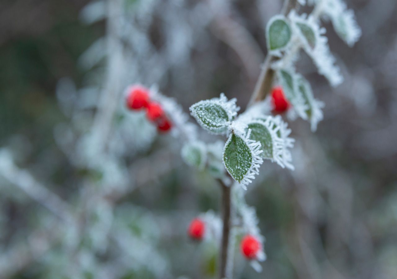 UK faces a bitterly cold end to the year as easterly winds arrive this ...