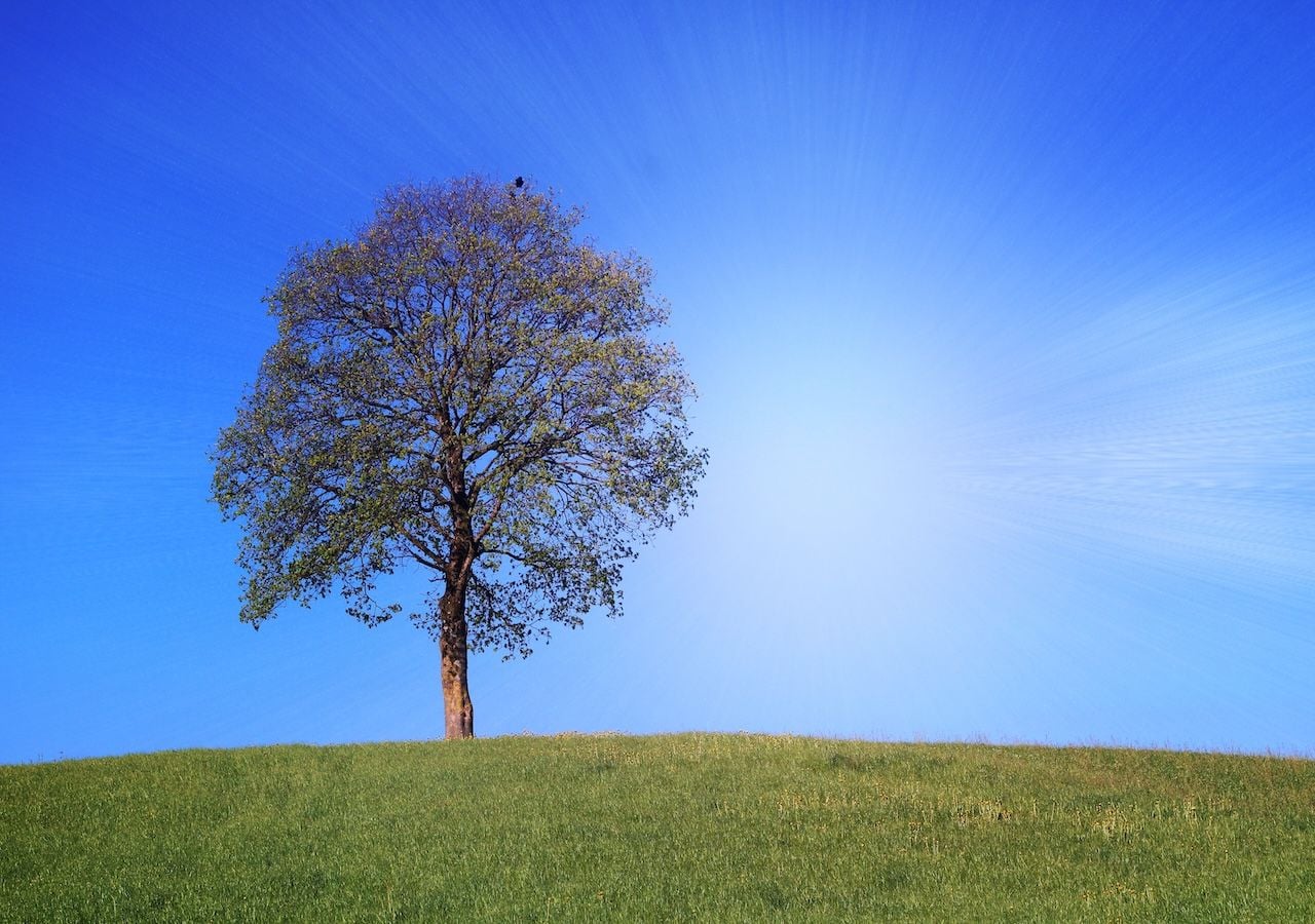 UK set for first heatwave of 2026 - how long will it last?