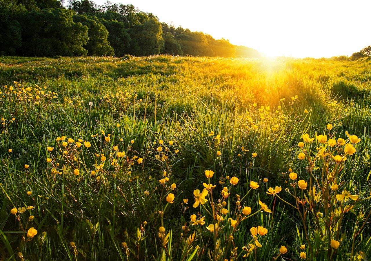 UK weather: Warmth and sunshine taken over by rain and thunder later ...