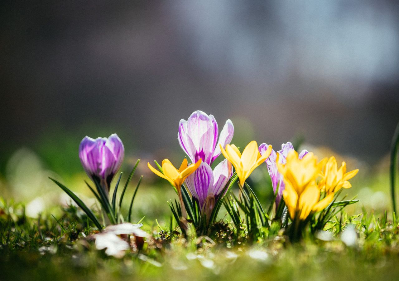 UK weather for the weekend: Mild but with patchy rain for some