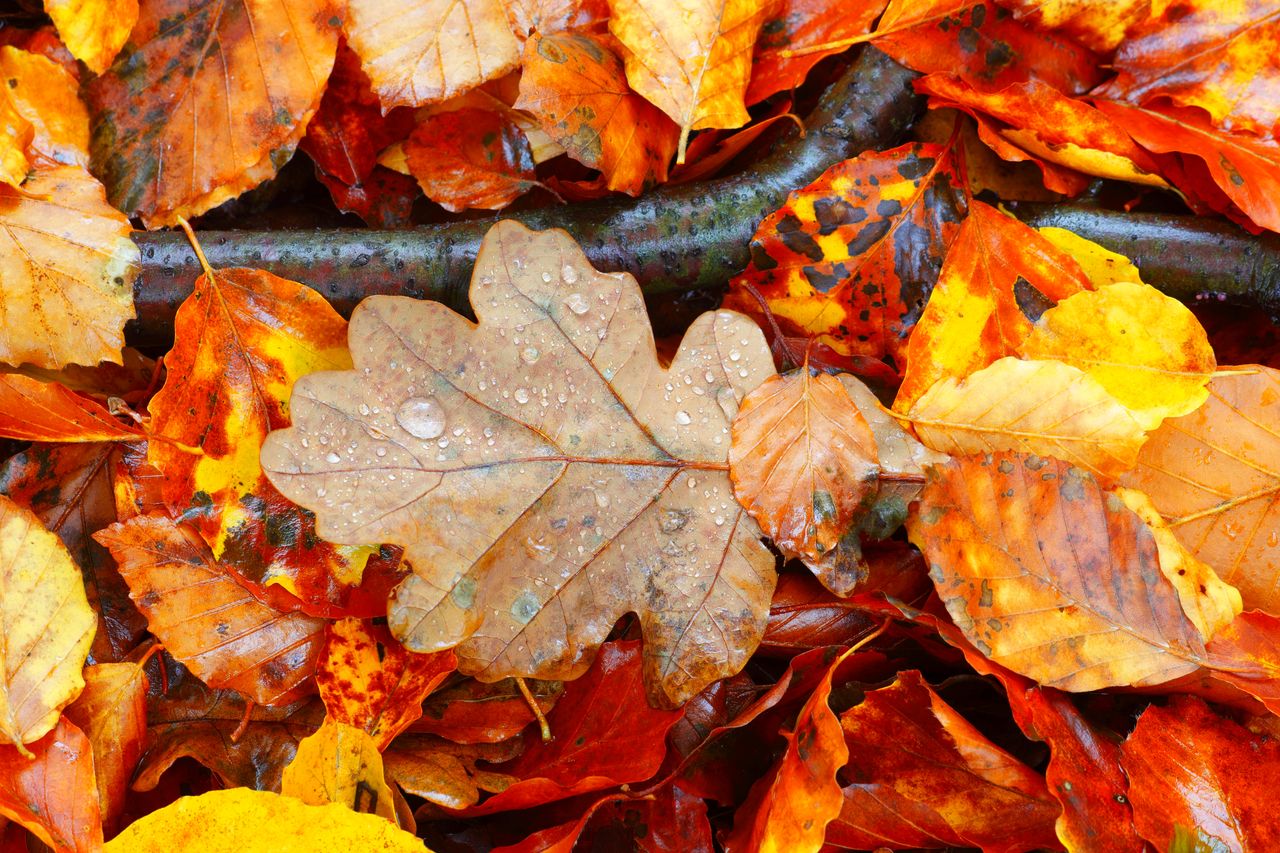 UK weather: Met Office weather warnings remain as Storm Amy slowly ...