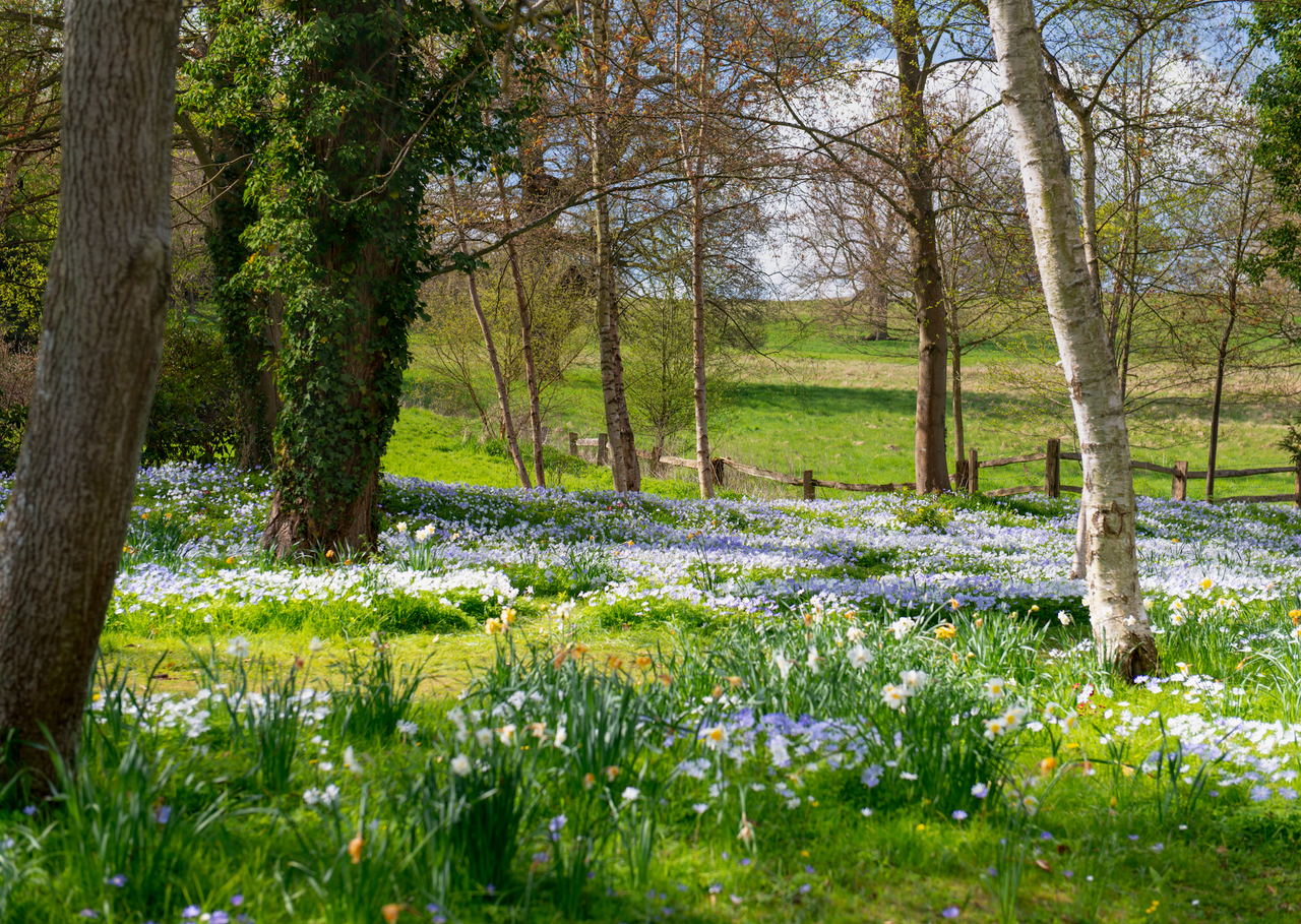 UK Weather Outlook for May 2025: A warm start before temperatures drop