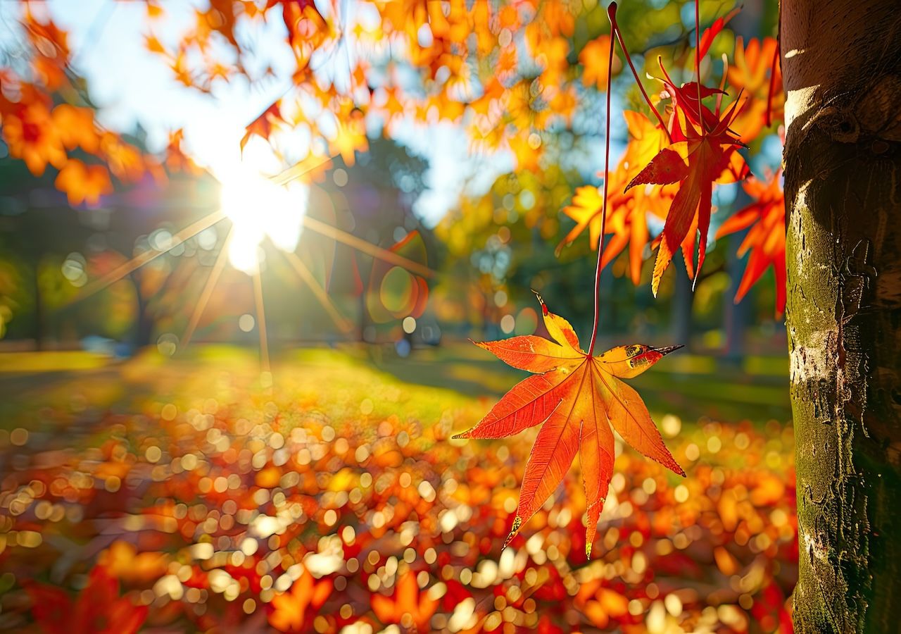 UK weather outlook for September 2025: stormy start to meteorological ...