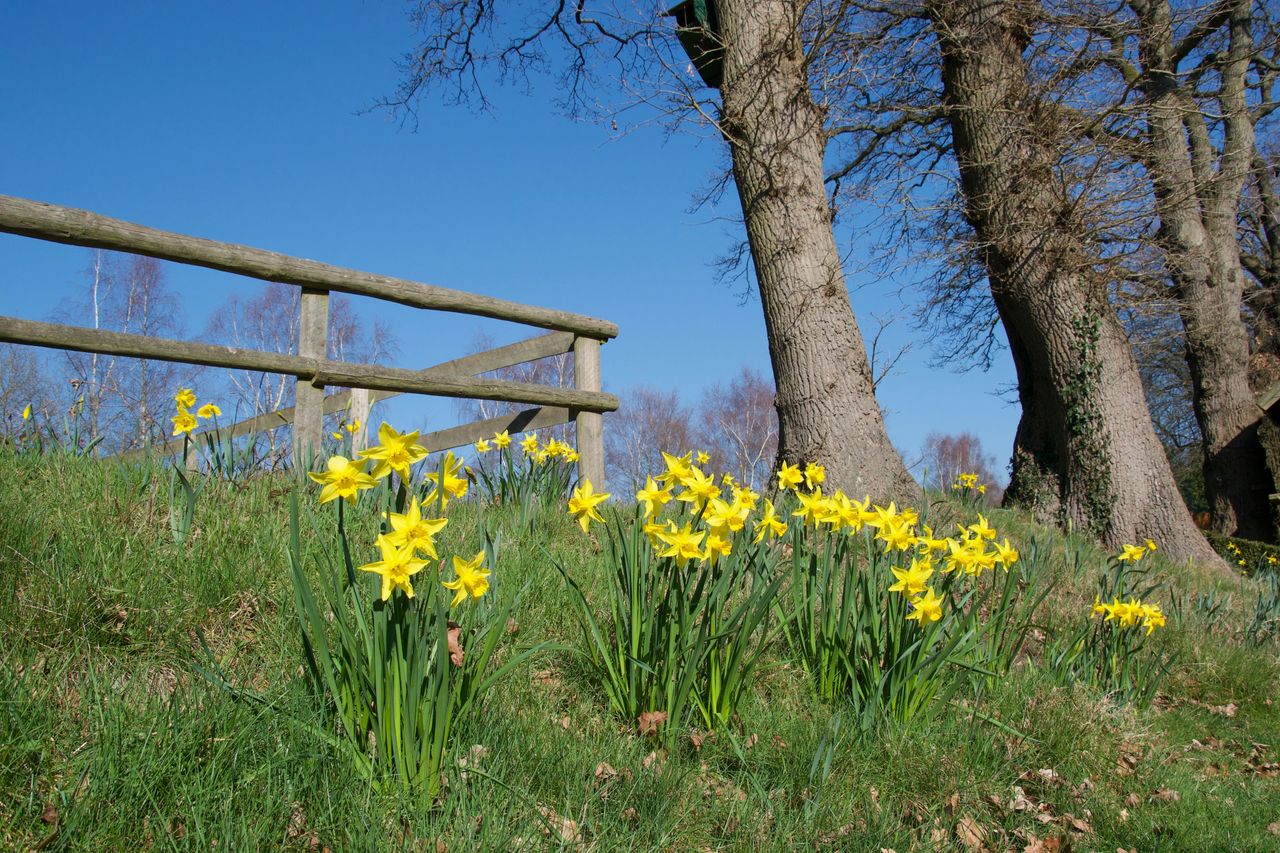 UK weather outlook: It feels like spring already, but is the warm and ...