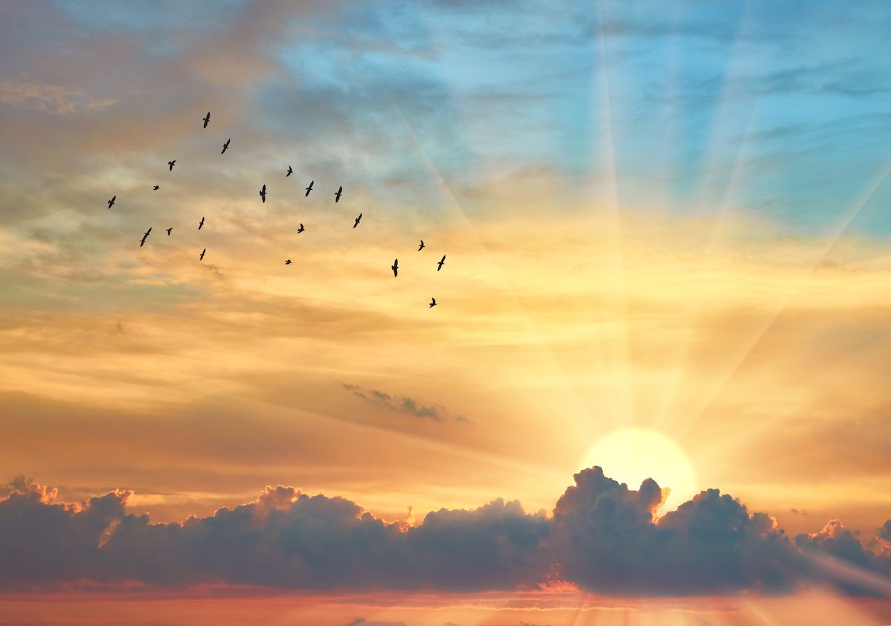 UK weather: Spring equinox 2025 brings rising temperatures which will ...
