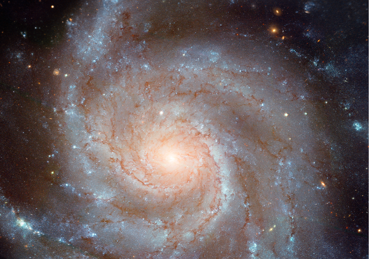 ¡Última hora! Descubren Supernova en galaxia M101. Es visible con ...