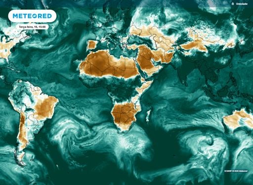 O mar de Aral desapareceu e agora a terra eleva-se: estudo da Nature ...